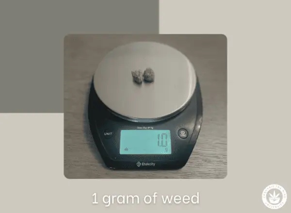 The Truth About Weed Measurements: 2025