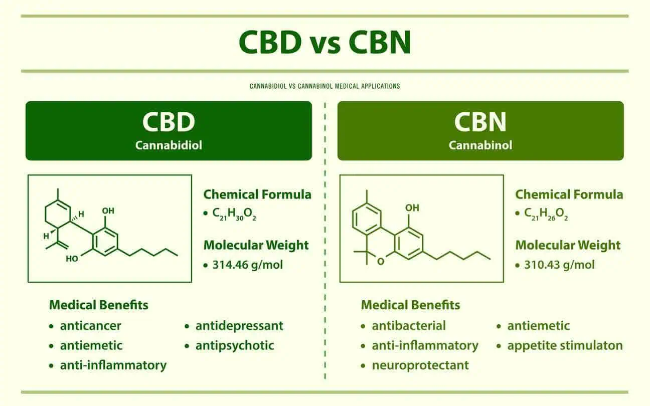 CBN vs CBD: Effects, Sleep, Pain Relief, and Differences