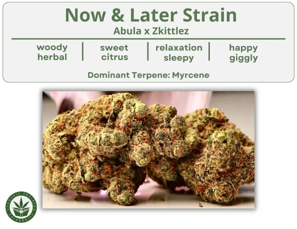 Now and Later Weed Strain and Information | CTU