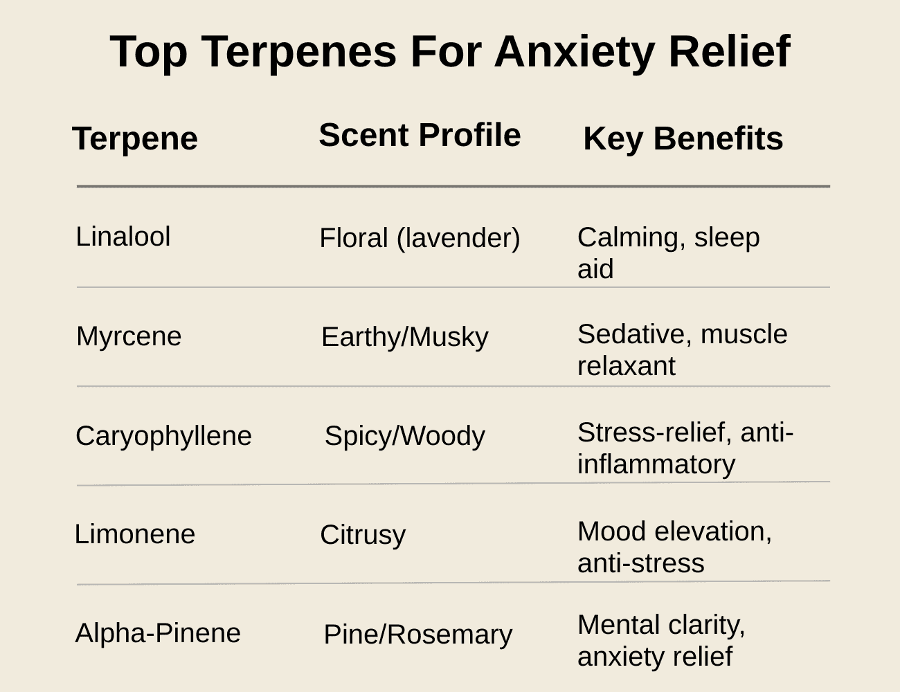 Calm Your Mind: The Best Terpenes for Anxiety and Relaxation
